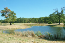 Championship Disc Golf Courses by John Houck